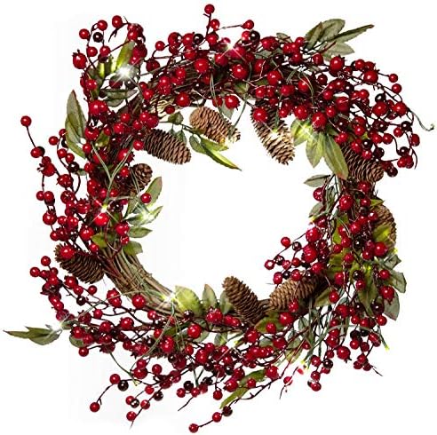 Amazon.com: DR.DUDU 22 Inches Lighted Christmas Wreath for Front Door ...