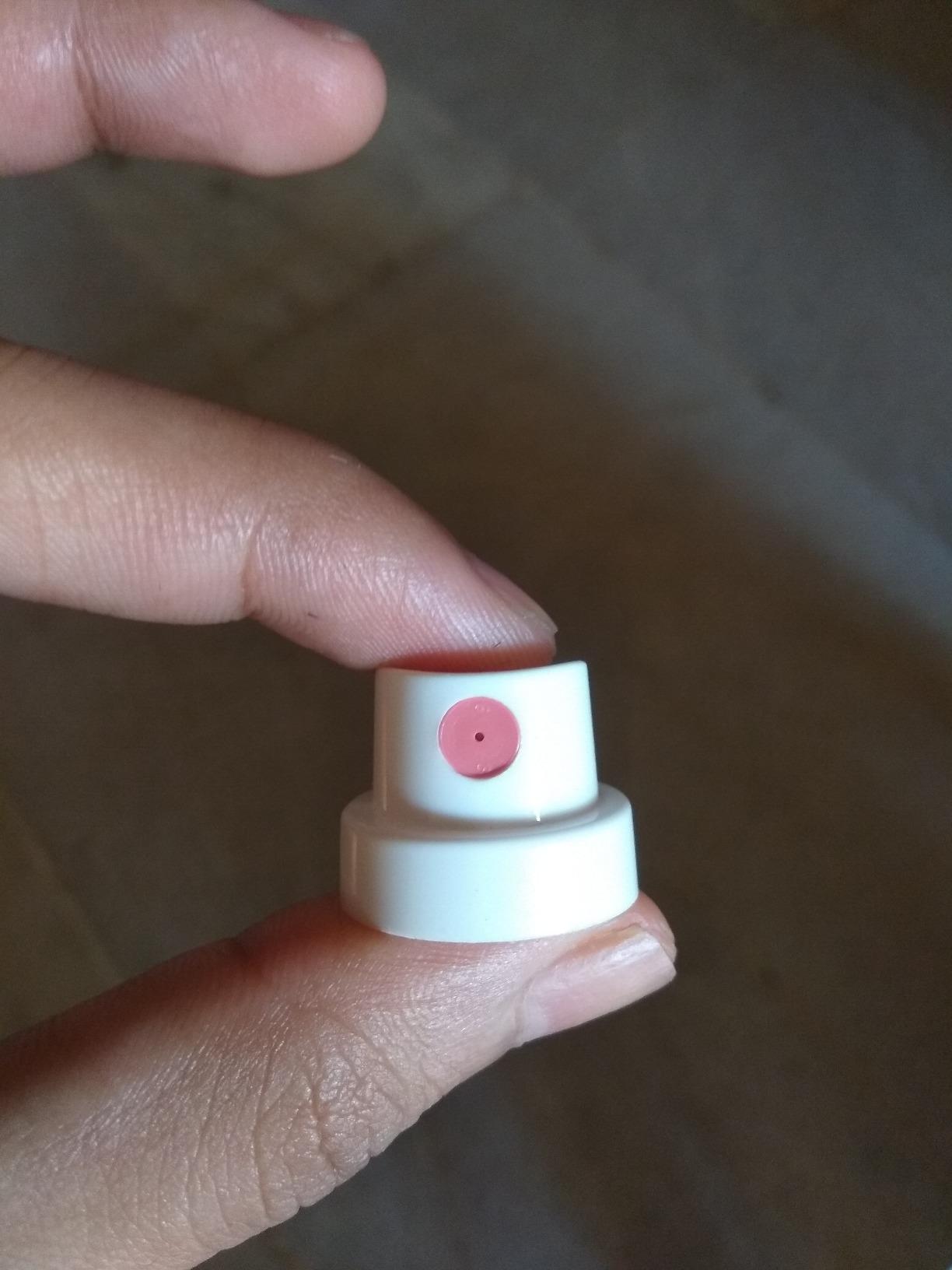 Montana MTN Spray Paints Assorted Caps - Set of 6 : Amazon.in: Home ...