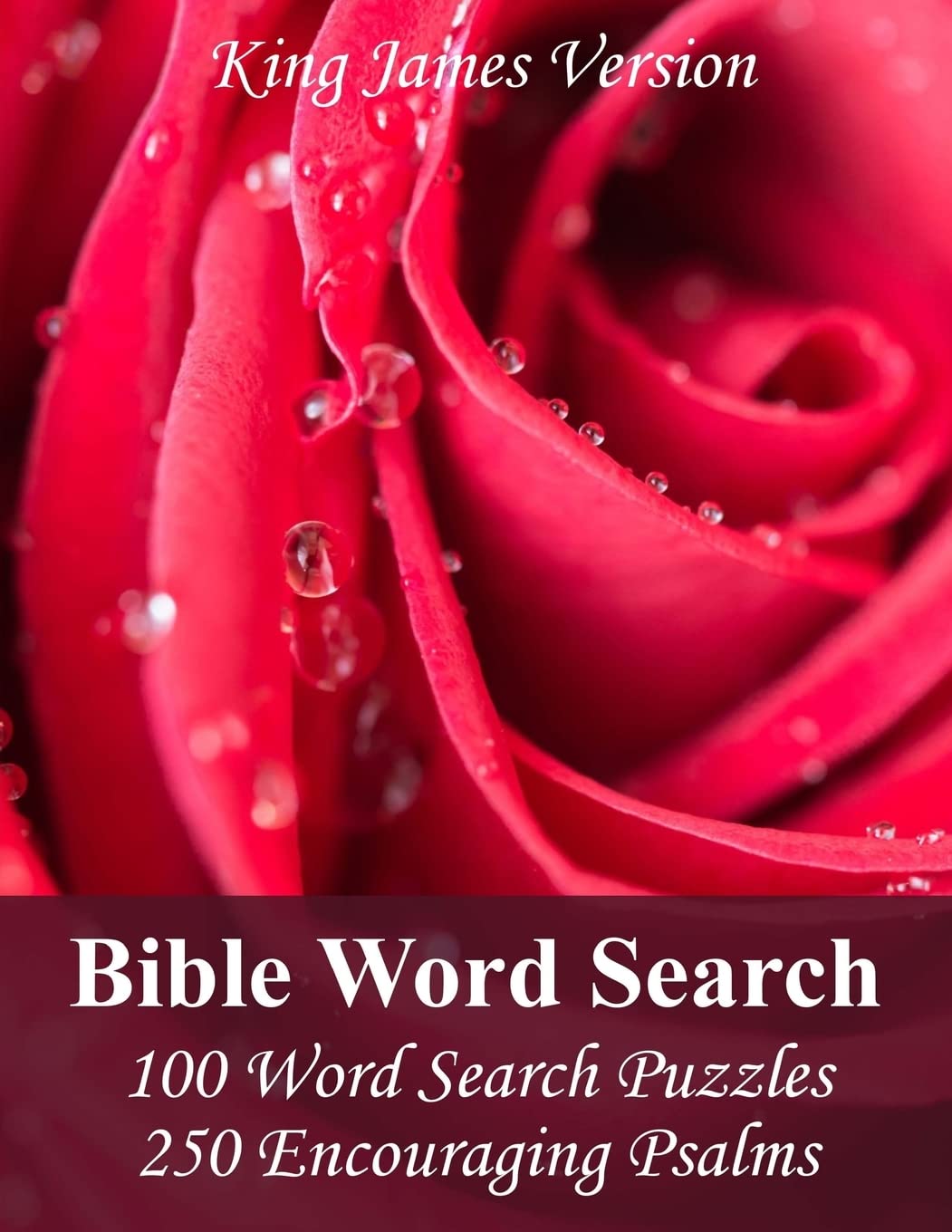 King James Bible Word Search (Psalms): 100 Word Search Puzzles with 250 ...