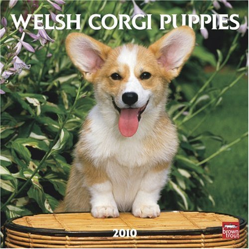 Welsh Corgi Puppies 2010 Calendar: Browntrout Publishers: 9781421656656 ...