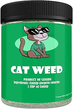Amazon.com : Cat Weed Premium Catnip - All Natural - Maximum Potency Cat Nip - Sprinkle On Your ...