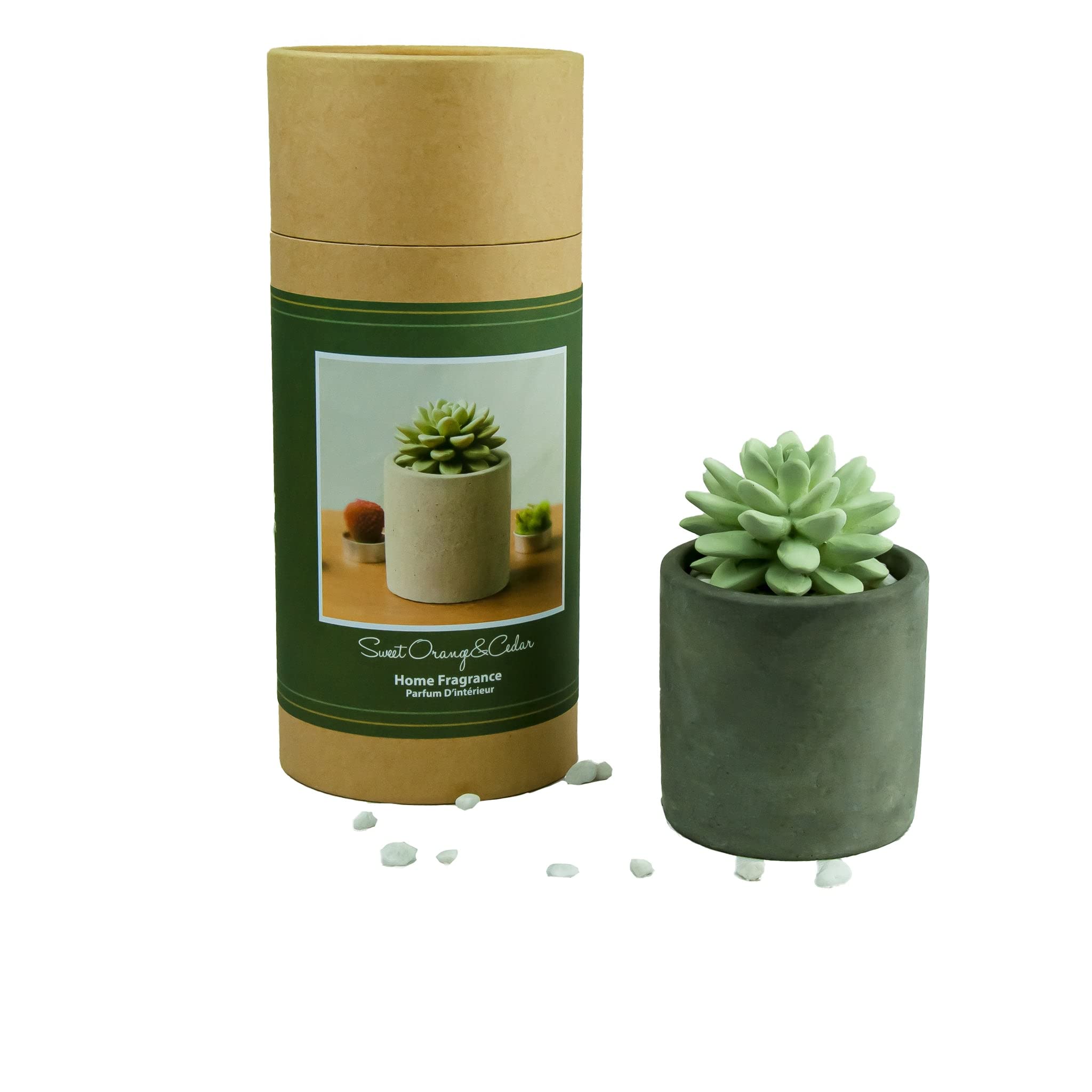 Amazon.com: Pretty Valley Home Succulent Gypsum Ceramic Fragrance ...