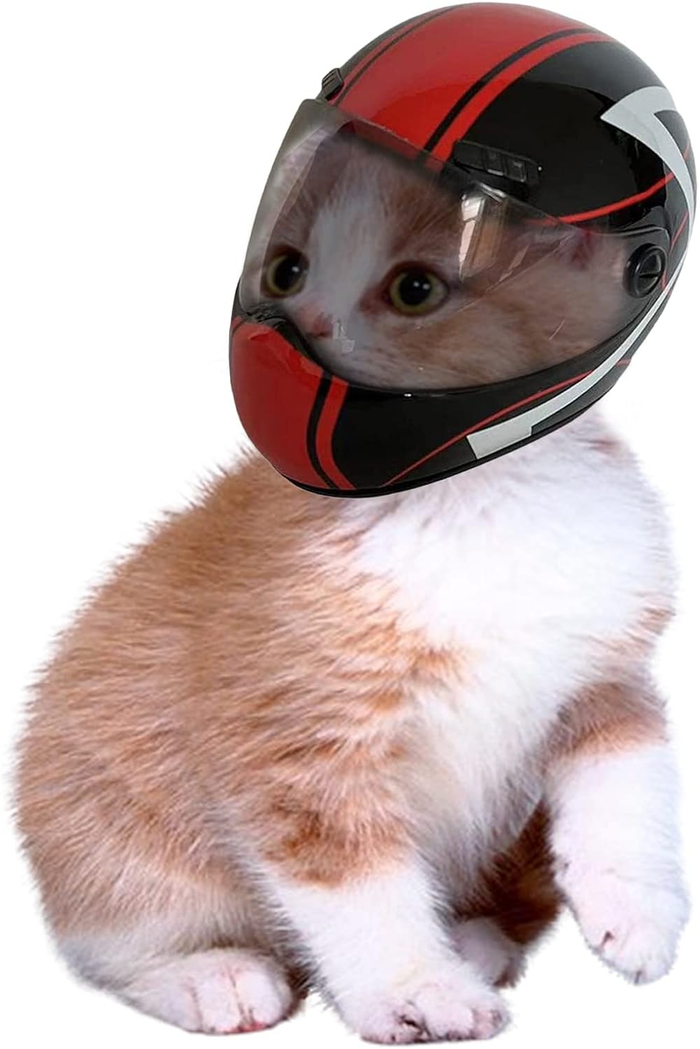 Amazon.com : Cat Dog Helmets for Small Dogs Small Cat Dog Pet Helmet ...