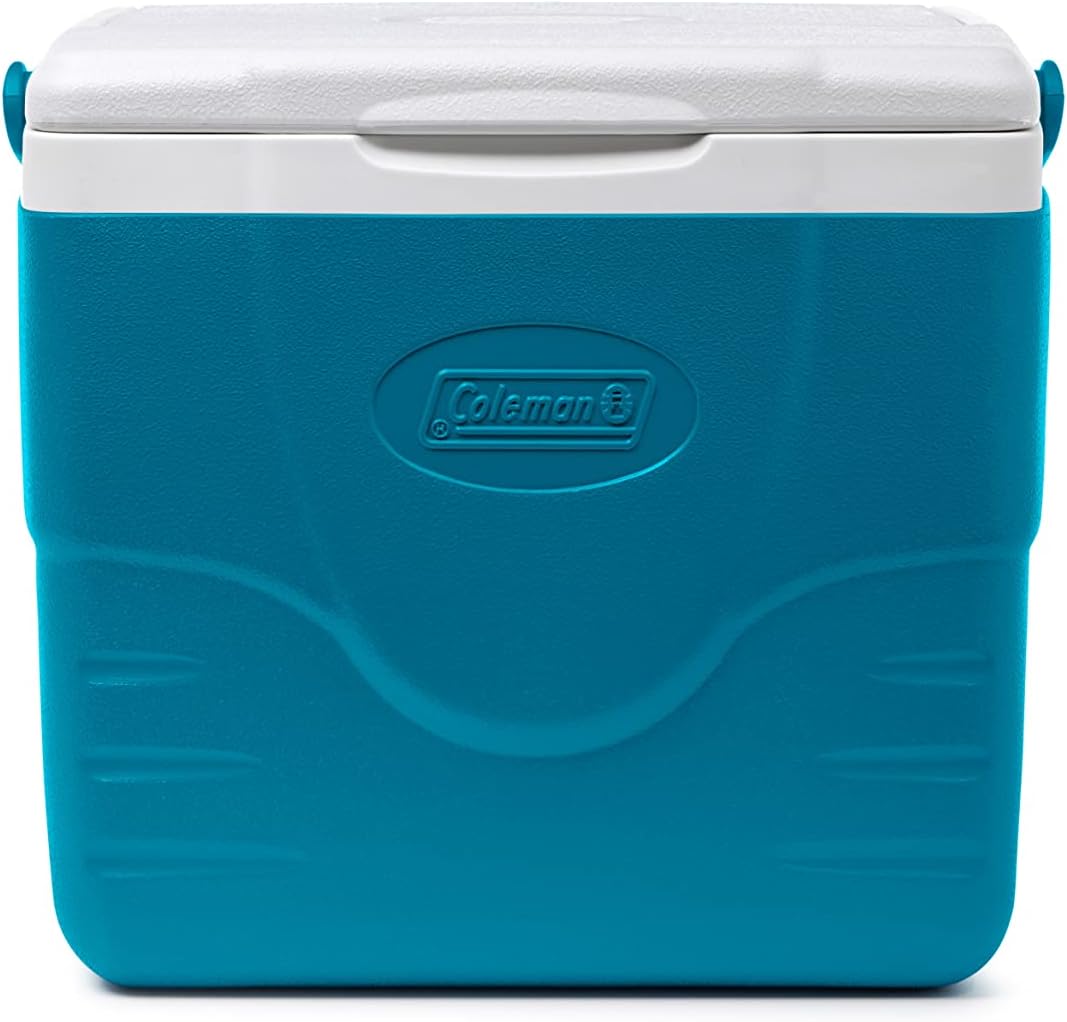 Buy Coleman Chiller Series 9qt Insulated Portable Cooler Lunch Box, Ice ...