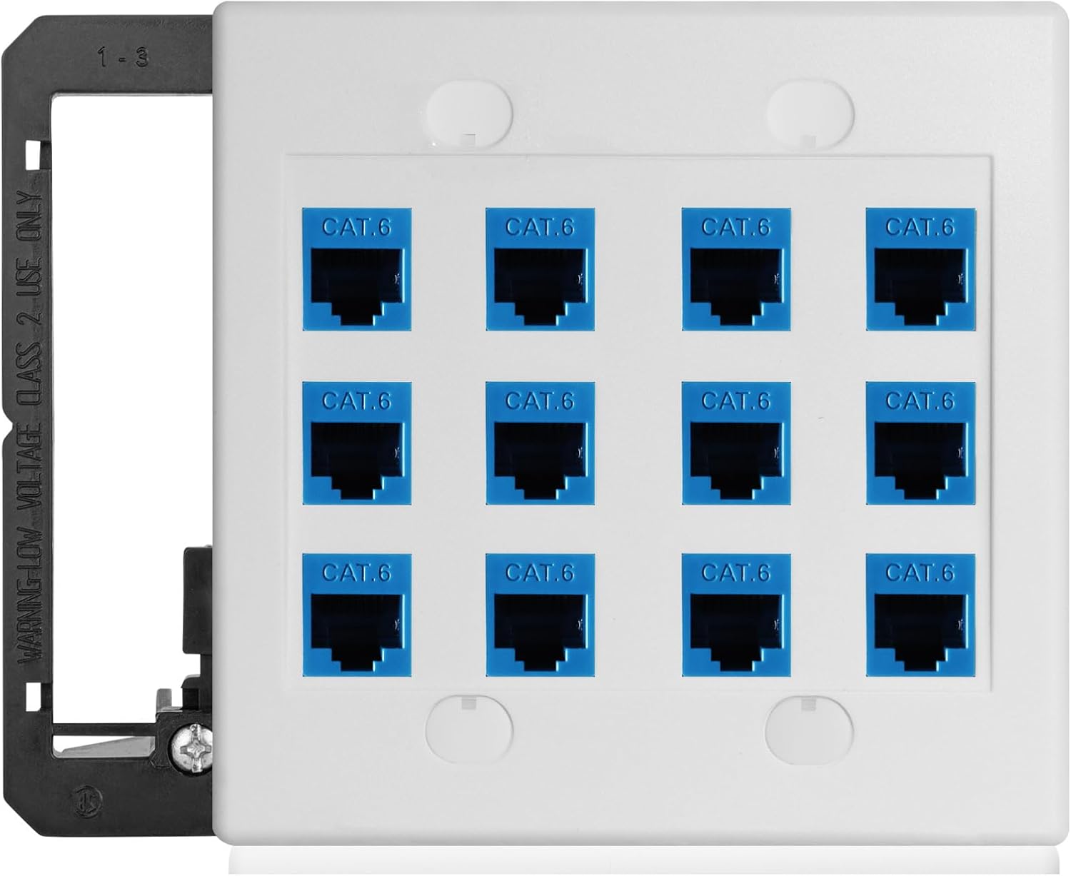 TOMODER 12 Port Ethernet Wall Plate Cat6 Jack RJ45 Outlet Keystone ...