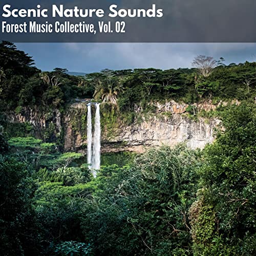 Play Scenic Nature Sounds - Forest Music Collective, Vol. 02 by VARIOUS ...