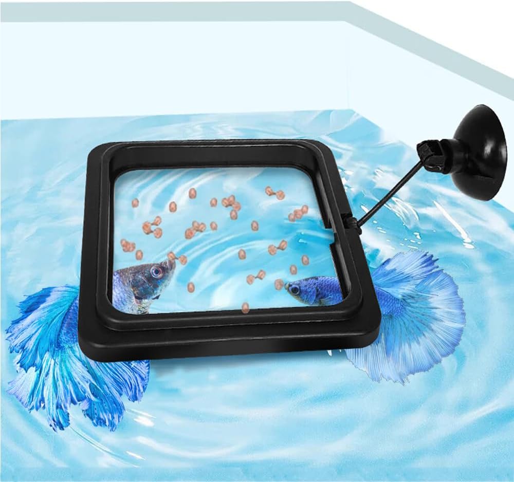 Amazon.com : Fish Feeding Ring, Fish Safe Floating Food Feeder Circle ...
