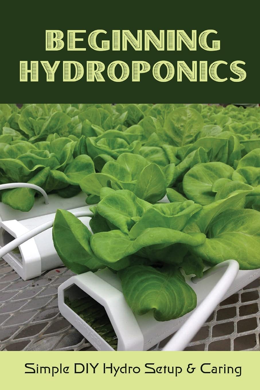 Buy Beginning Hydroponics: Simple DIY Hydro Setup & Caring: Hydroponics ...