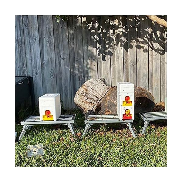 Bee Hives Boxes Plus Double Layer Queen Bee Mating Nuc Box Nuc Box for ...