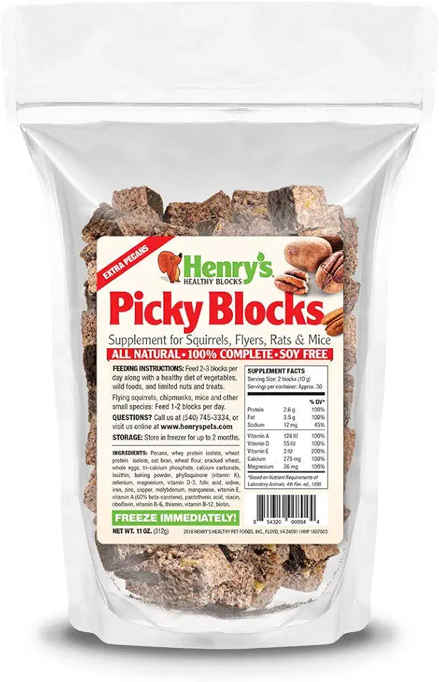 Feeding Tips And Guidelines For Flying Squirrels | PetShun