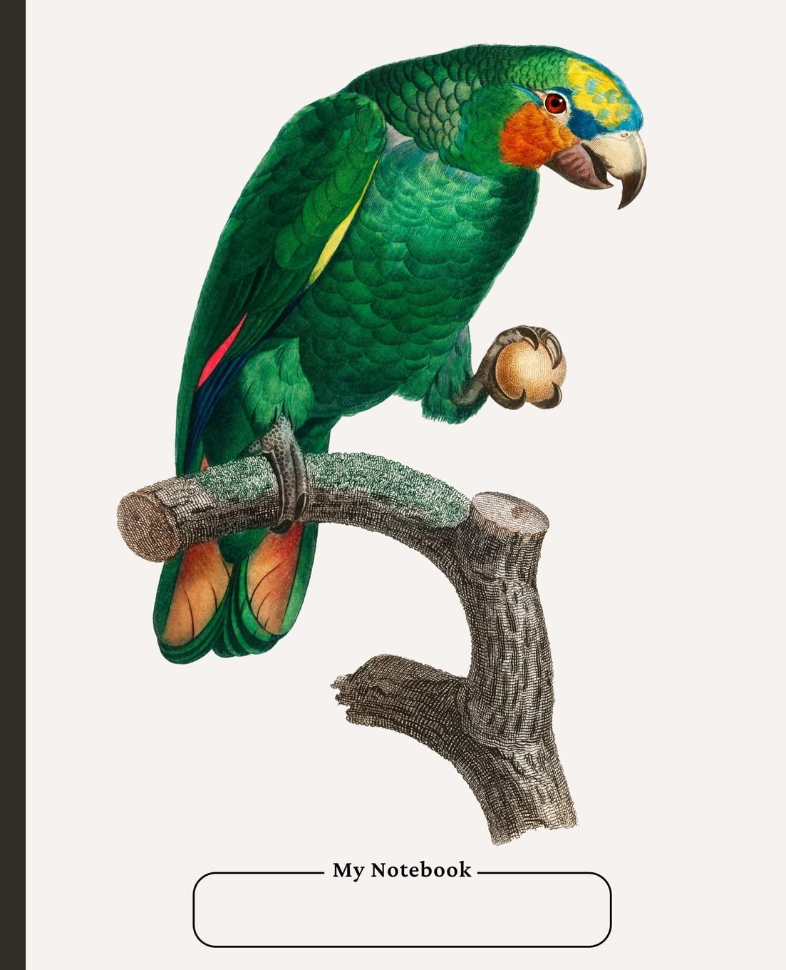 Cornell Notebook, Narrow Ruled, with Dot Grid Note-Taking Area, 100 ...