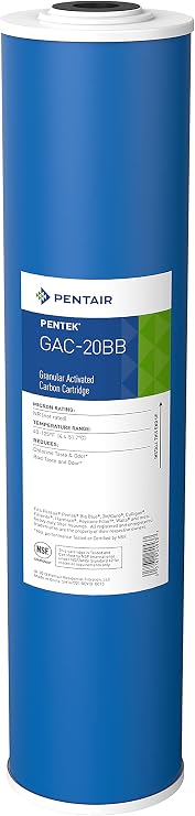 Pentek Pentair GAC-20BB Big Blue Carbon Water Filter, 20-Inch, Whole ...