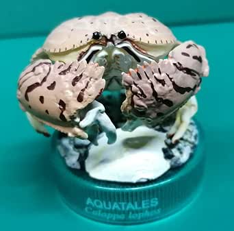 Amazon.co.jp: Trough Karappa Kaiyodo Aquatales Figure Crab Crab Kalappa ...