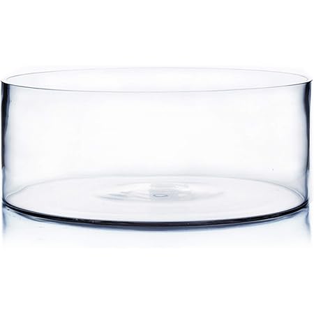 Amazon.com: YOUEON Wide Glass Cylinder Vase, 4" Tall x 8" Wide Flower ...