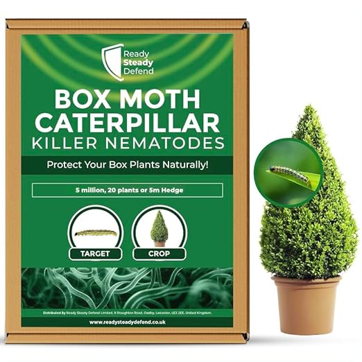 Box Moth Caterpillar Killer Nematodes 150m Hedge (50 million ...