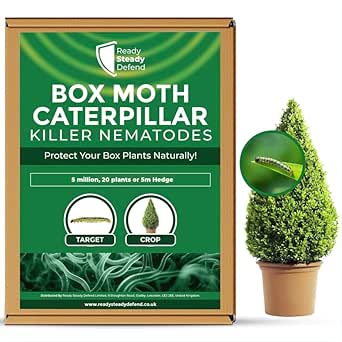 Box Moth Caterpillar Killer Nematodes -Effective Box Tree Moth ...