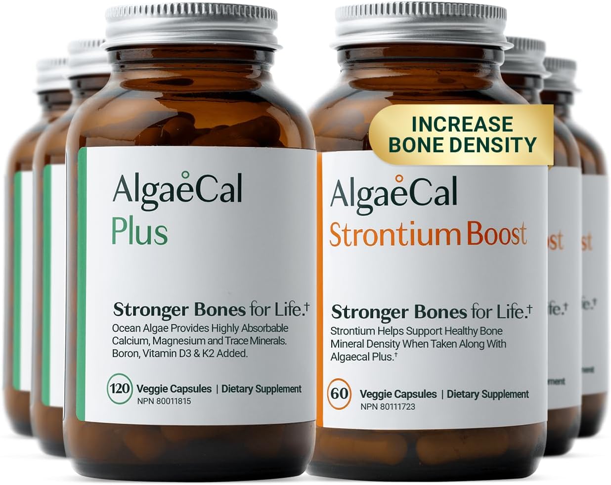AlgaeCal - Bone Builder Pack for Bone Density, Clinically Supported ...