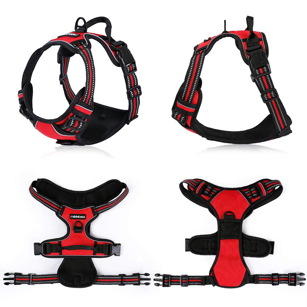 rabbitgoo Dog Harness, No-Pull Pet Harness with 2 Leash Clips ...