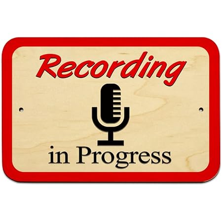 Amazon.com: Recording in Progress Microphone 9" x 6" Wood Sign : Office ...