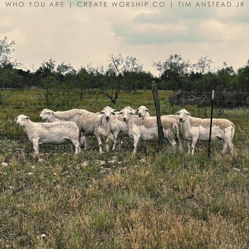 Amazon.co.jp: Who You Are : Tim Anstead Jr: Digital Music