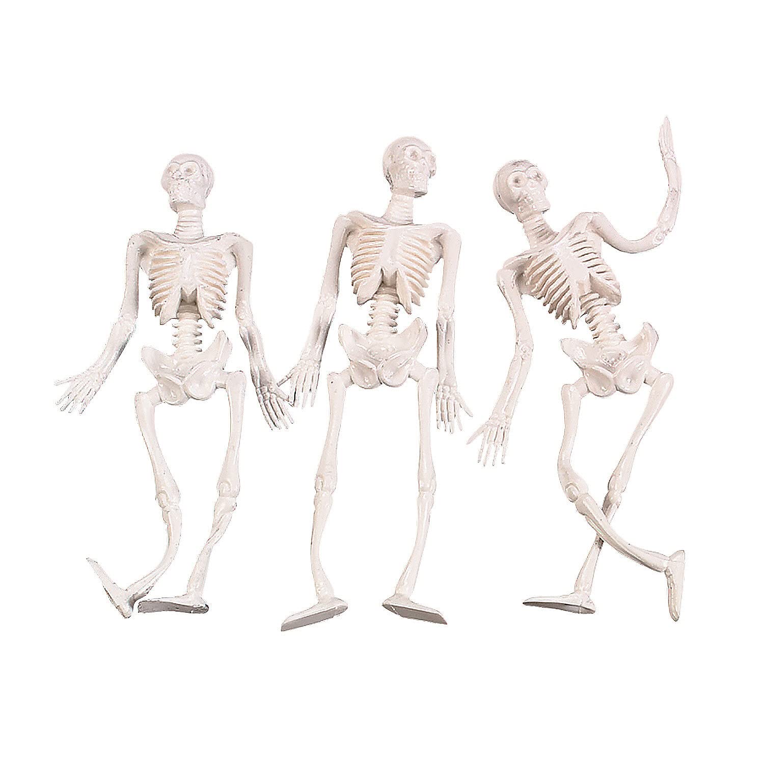 Amazon.com: Fun Express Stretchy Skeletons : Toys & Games