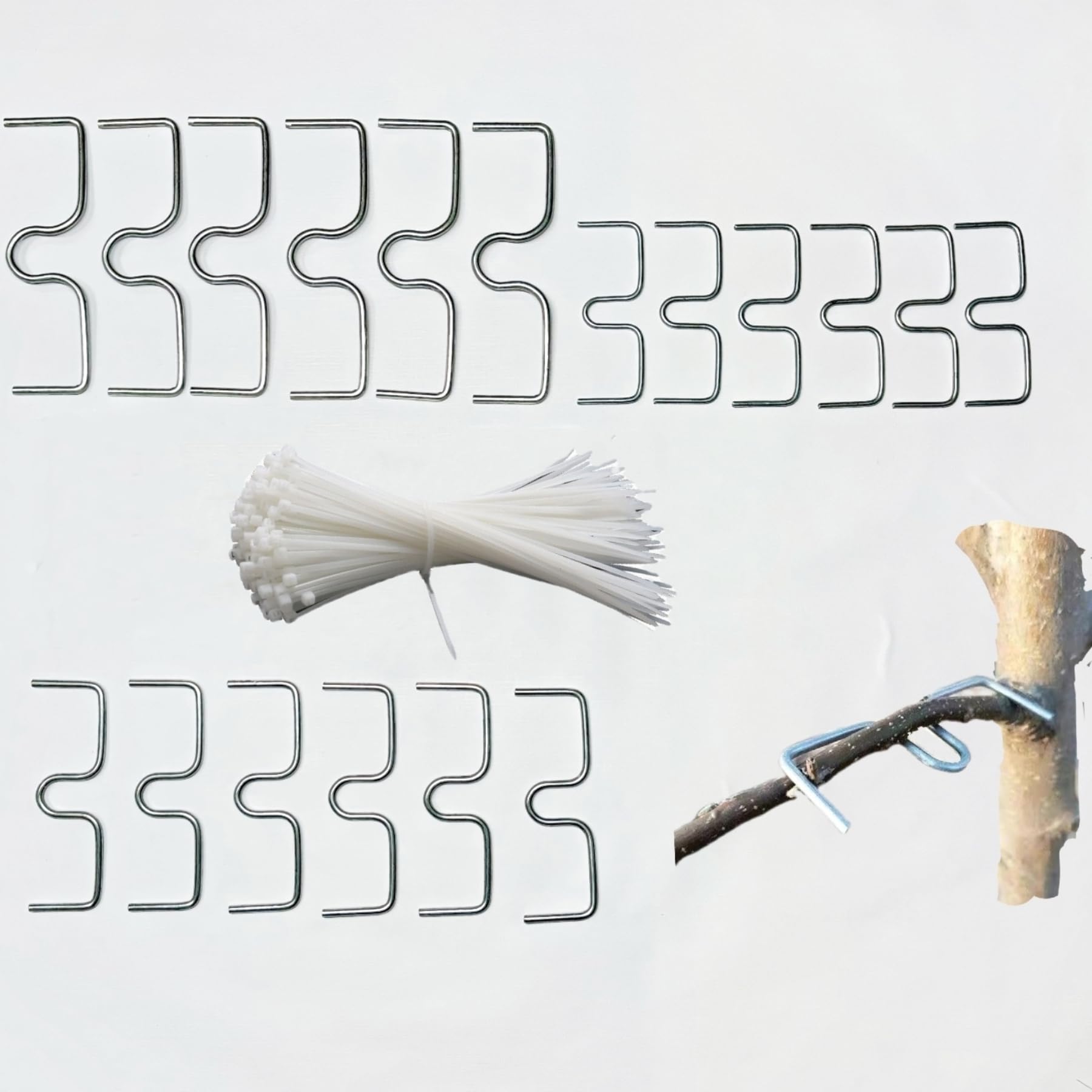 Snapklik.com : Algasan Fruit Tree Branches Pulling Machine Strapping ...