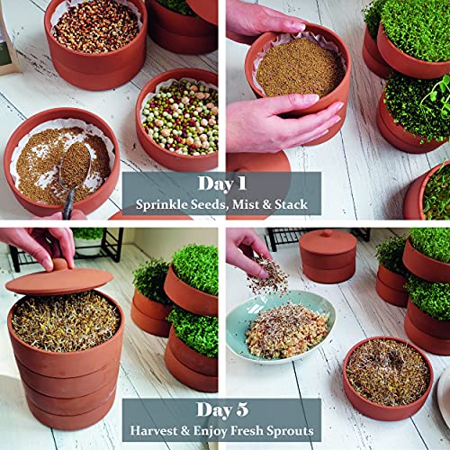 Verdant Republic Single Clay Glazed Sprouter Bottom Tray compatible ...