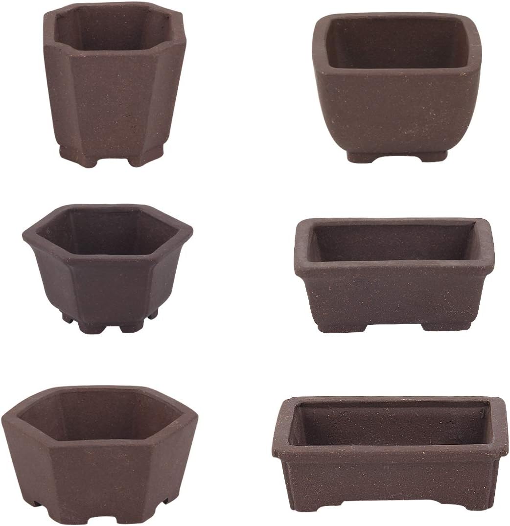 Amazon.com: Bonsai Planter 20 pc Mini Glazed Pots Succulent 1.6 Inch ...