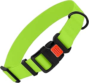Amazon.com : CollarDirect Adjustable Dog Collar Colorful Waterproof Pet ...
