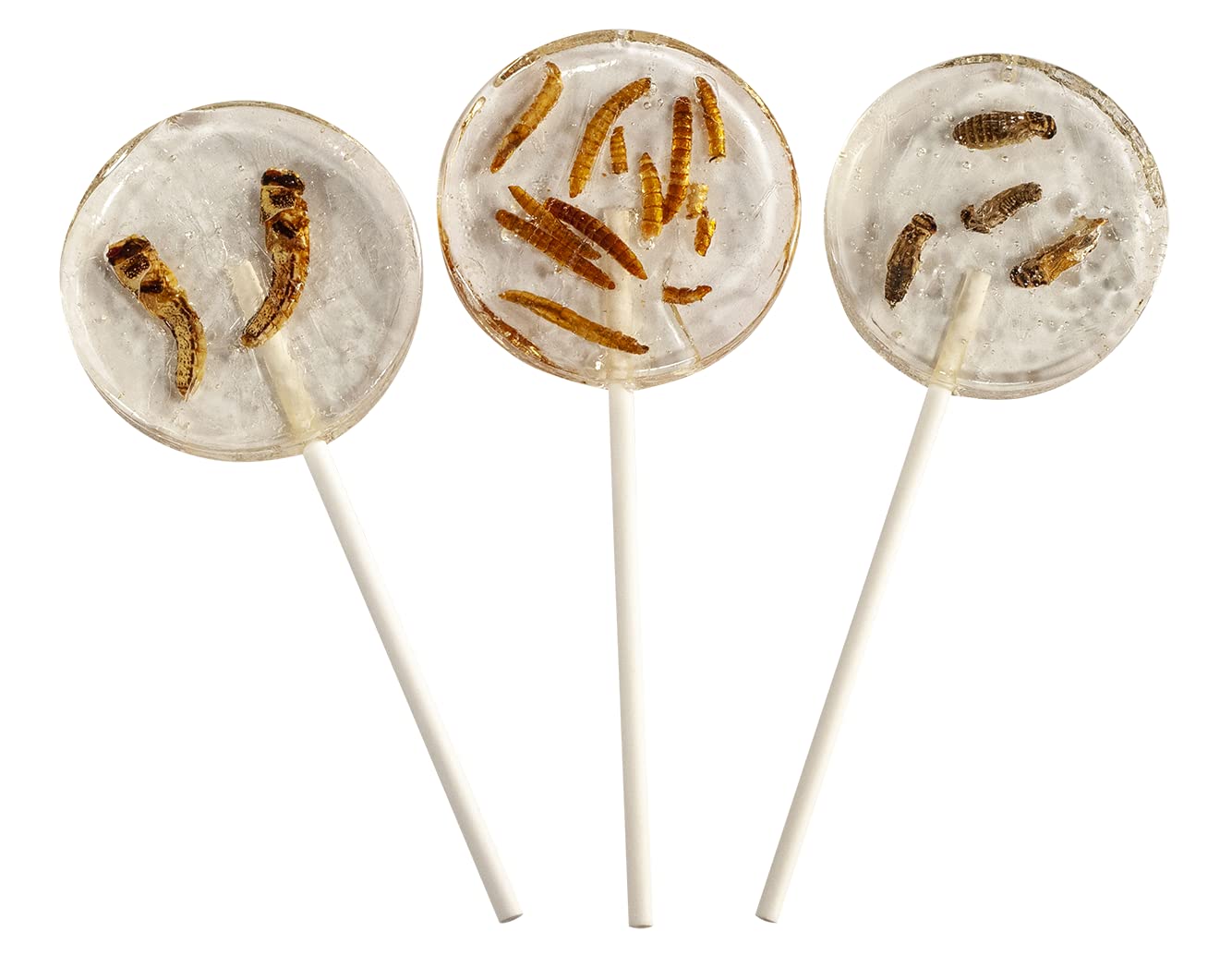 Crunchy Critters Edible Insects Three Lollipops - 90g : Amazon.co.uk ...