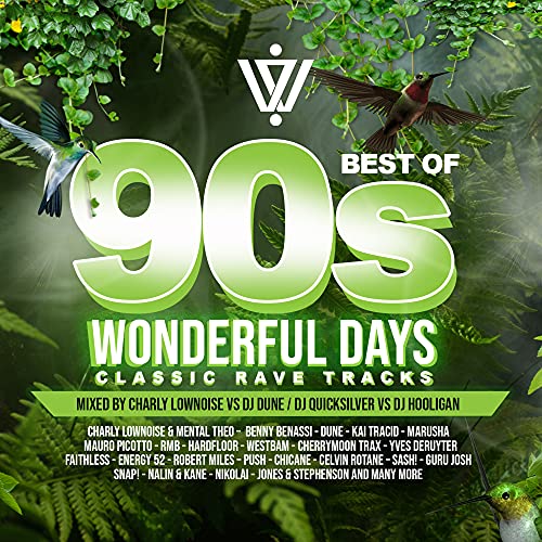 Spiele Wonderful Days : Best of 90s Classic Rave Tracks von DJ Hooligan ...