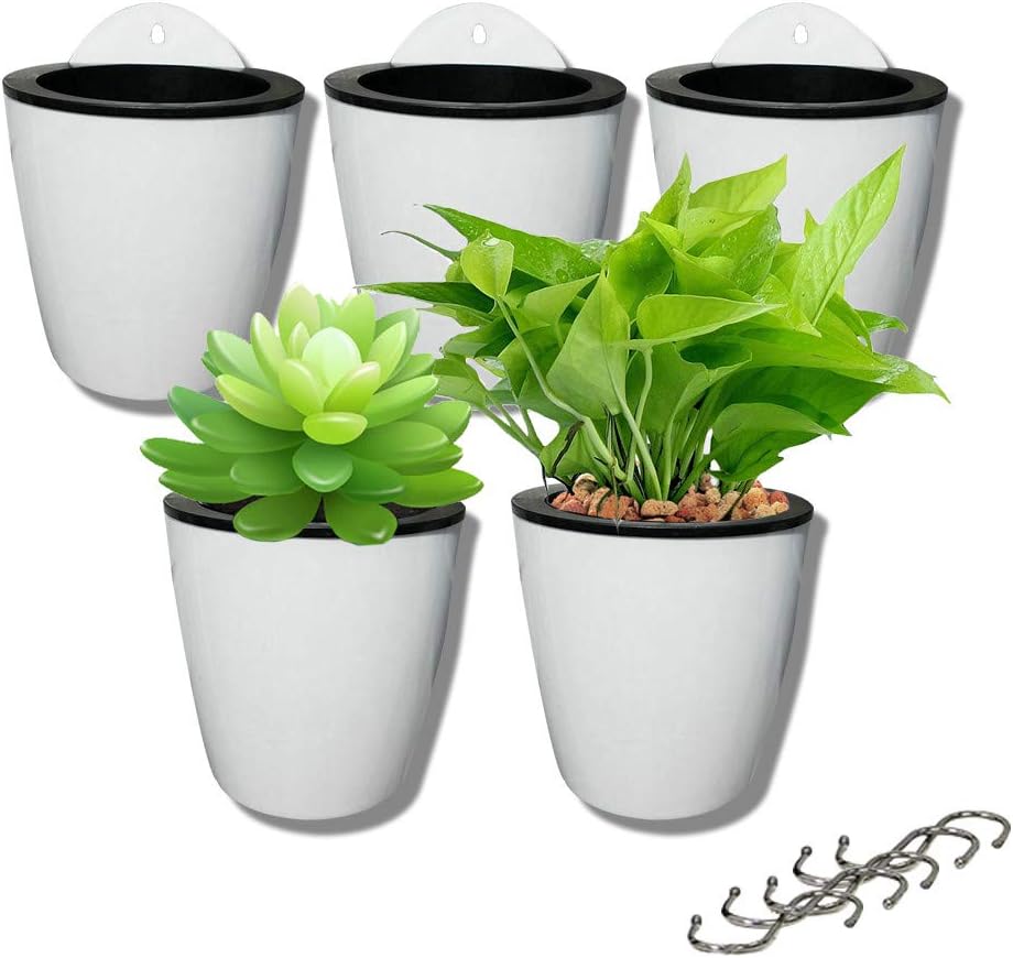 Amazon.com : Kurraba Transparent Acrylic Diamond Shape Suction Cup ...