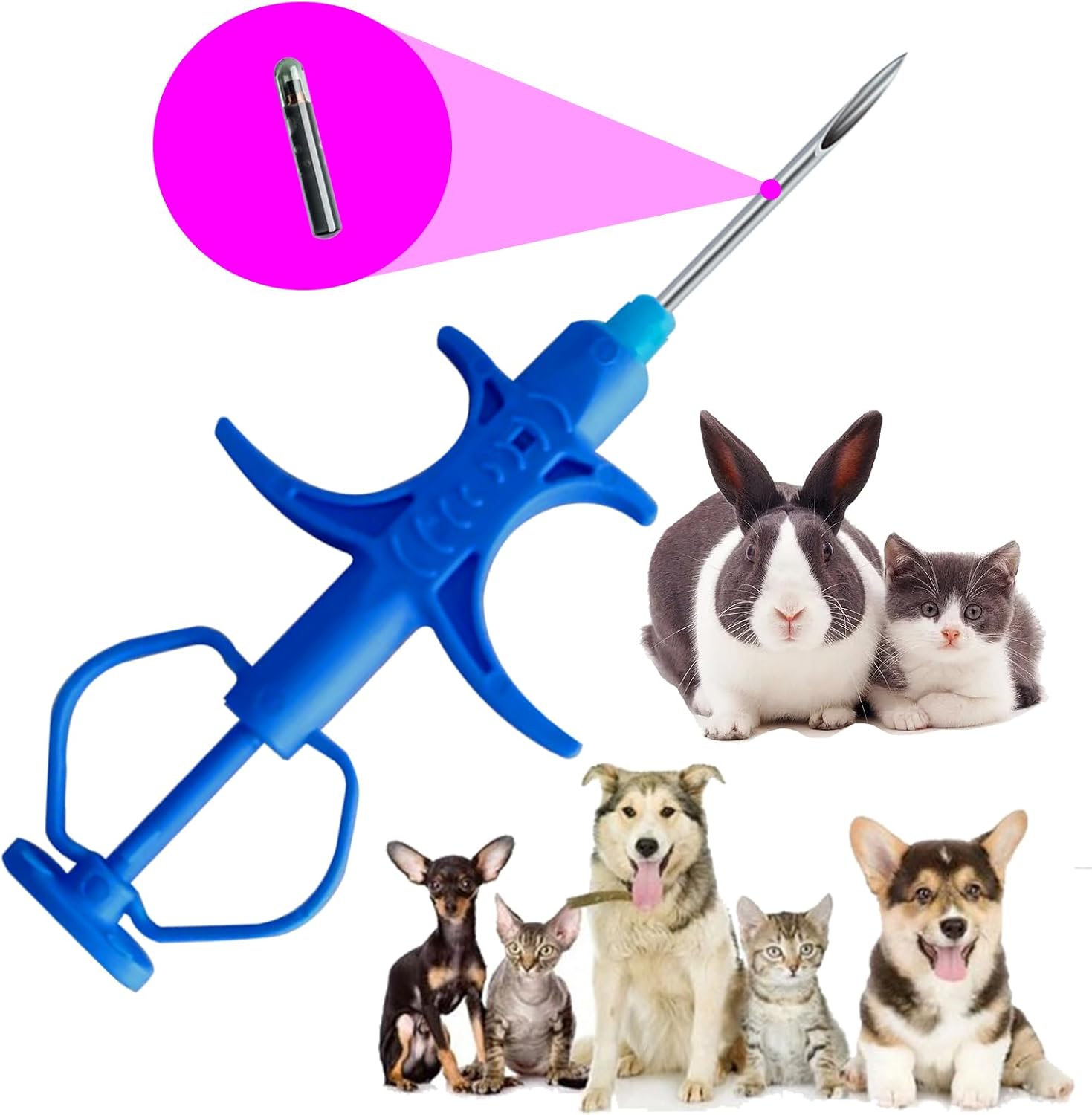 Manruta Small ISO Micro chip ID Tags Preload with Syringe,Use for Dogs ...