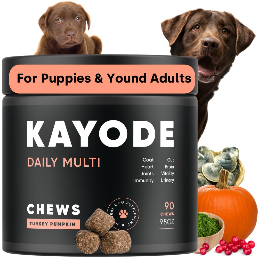 Amazon.com: Kayode Daily Multi - Dog Multivitamin & Superfood Chew ...