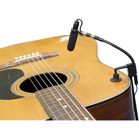 Amazon.com: Rannsgeer PMMB19-TA3-GT Musical Instrument Microphone with ...