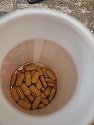 MUTANT Multi Vitamins - Men's Multivitamin for Hardcore Athletes & Body ...