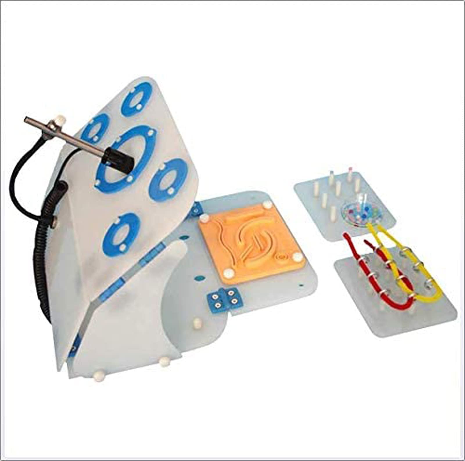 Buy Medical Model Laparoscopy Simulation Training Simulator + Straight ...