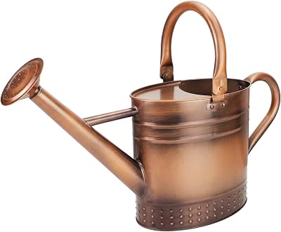 Amazon.com : Lechloris Metal Watering Can for Outdoor Plants, 1 Gallon ...