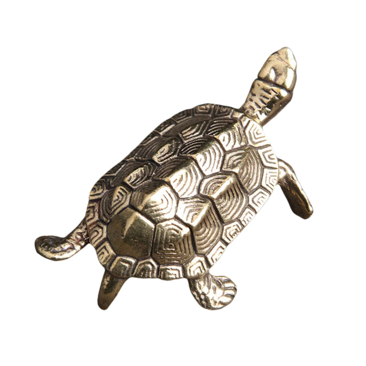 Chinese Turtle Drawing