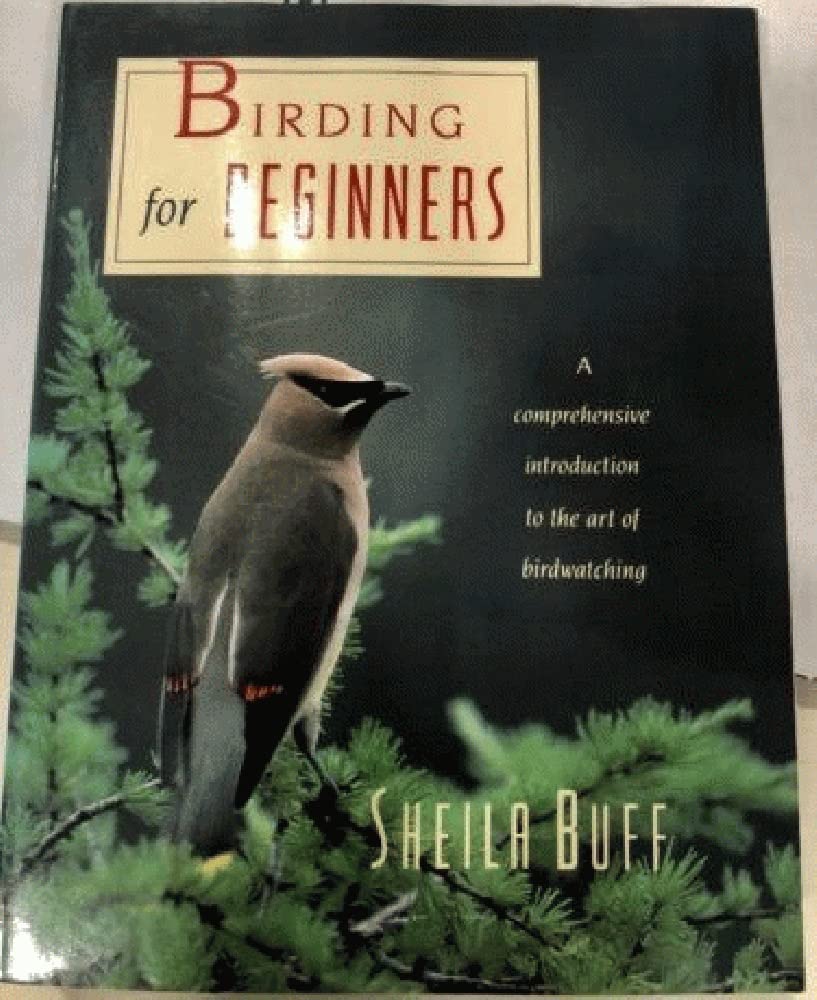 Birding for Beginners: Buff, Sheila: 9781558212091: Amazon.com: Books