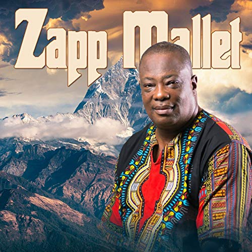 Amazon Music - Zapp MalletのAayalolo - Amazon.co.jp