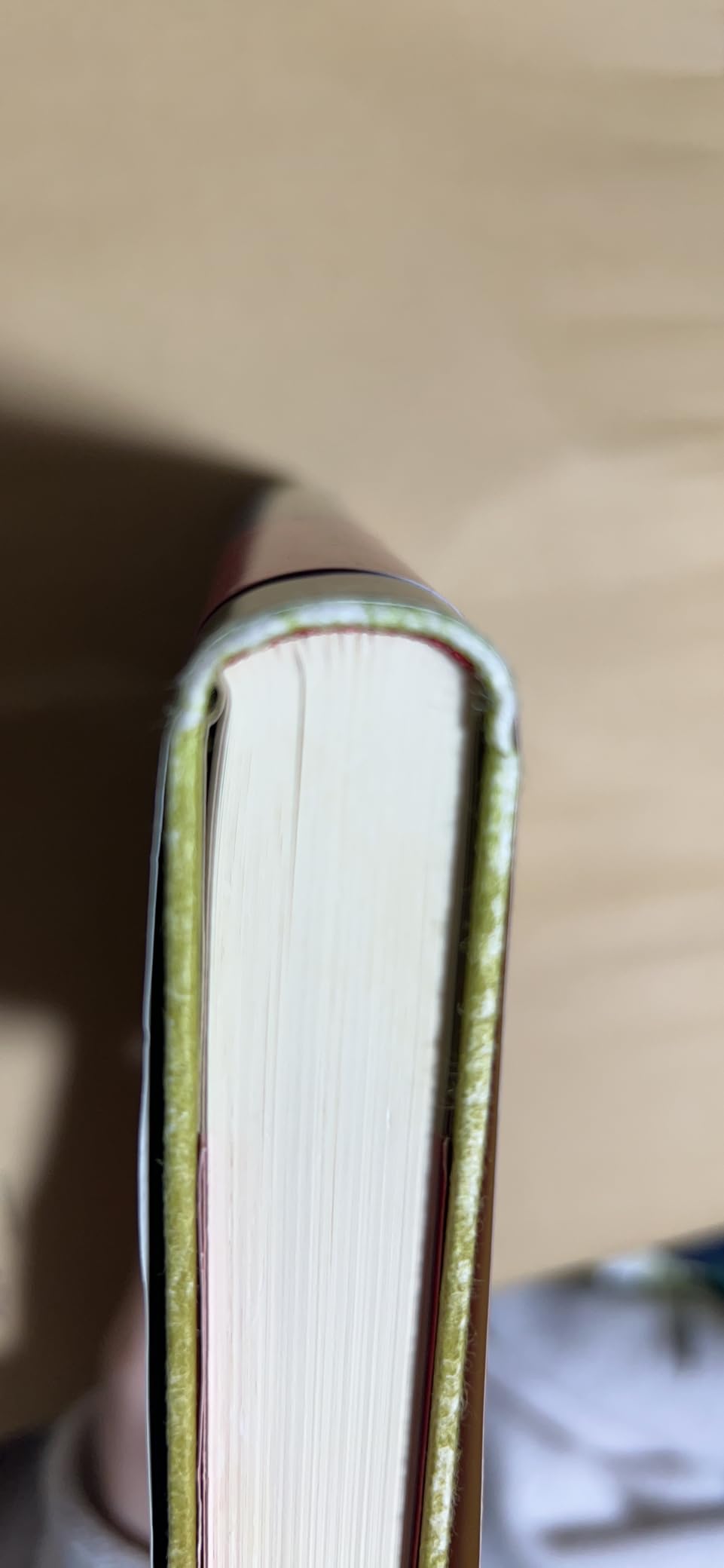 Amazon.co.jp: KZ’ Deep File 断層の森で見る夢は : 藤本 ひとみ: 本