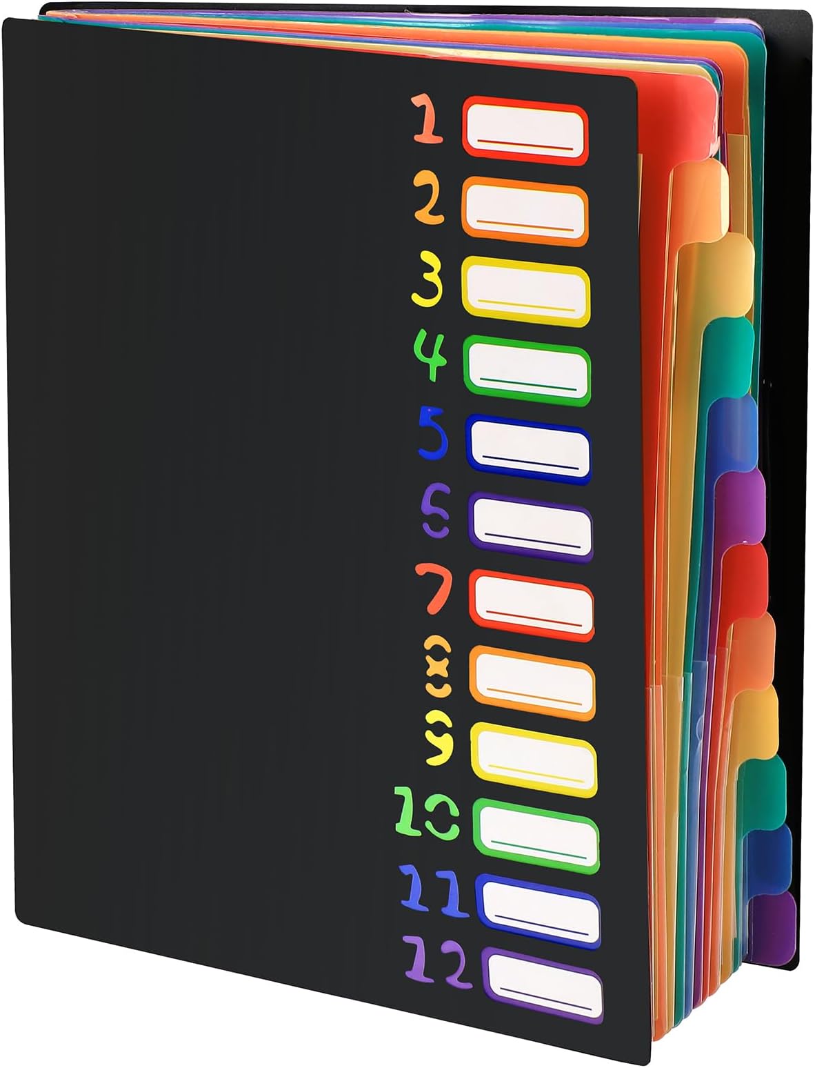 Amazon.com : HABGP 24 Plastic Folders with Pockets, 12 Colors Multi ...