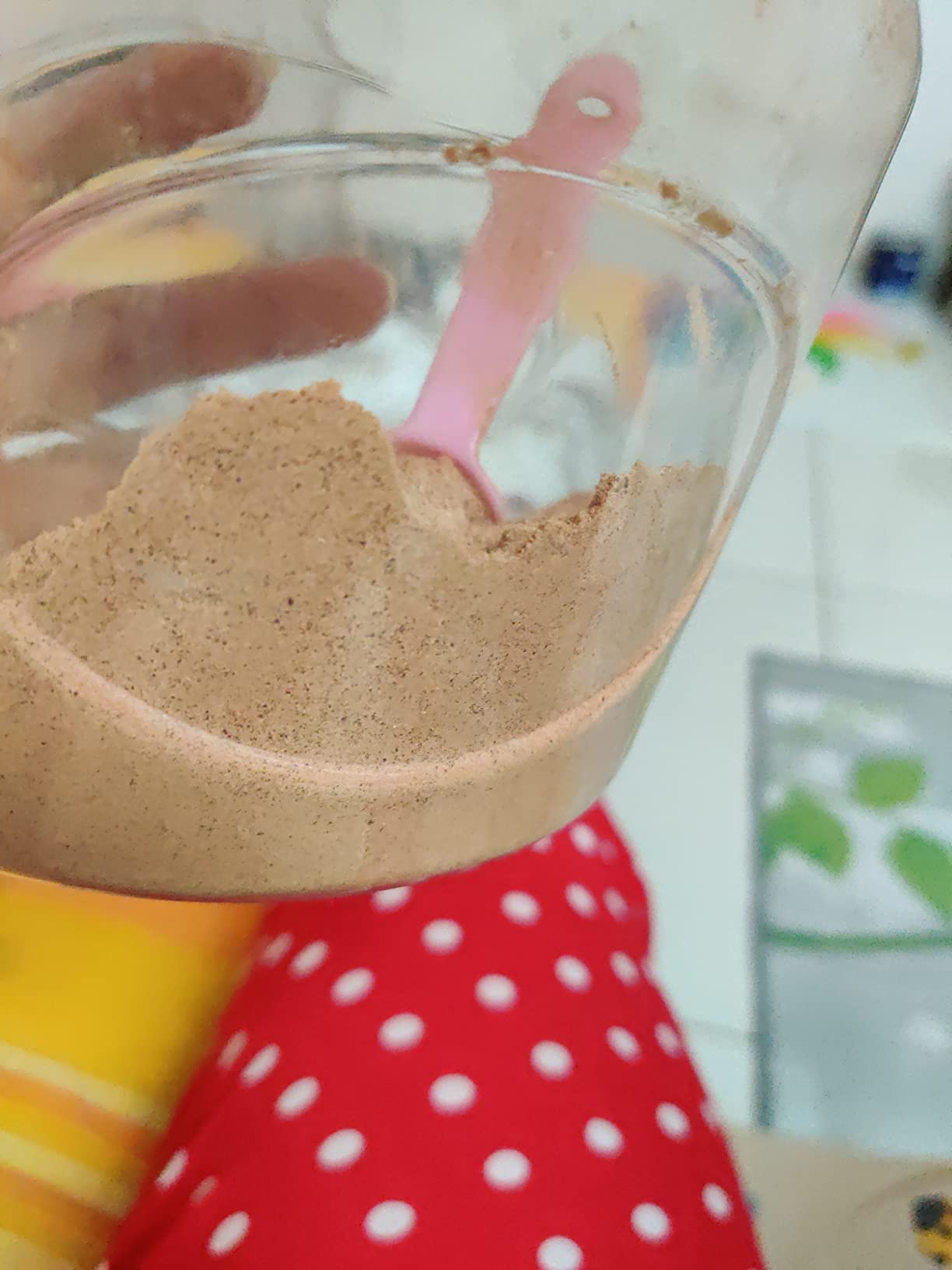 Organic Purify BORKUT POWDER(INDIAN JUJUBE POWDER) 400gm : Amazon.in ...