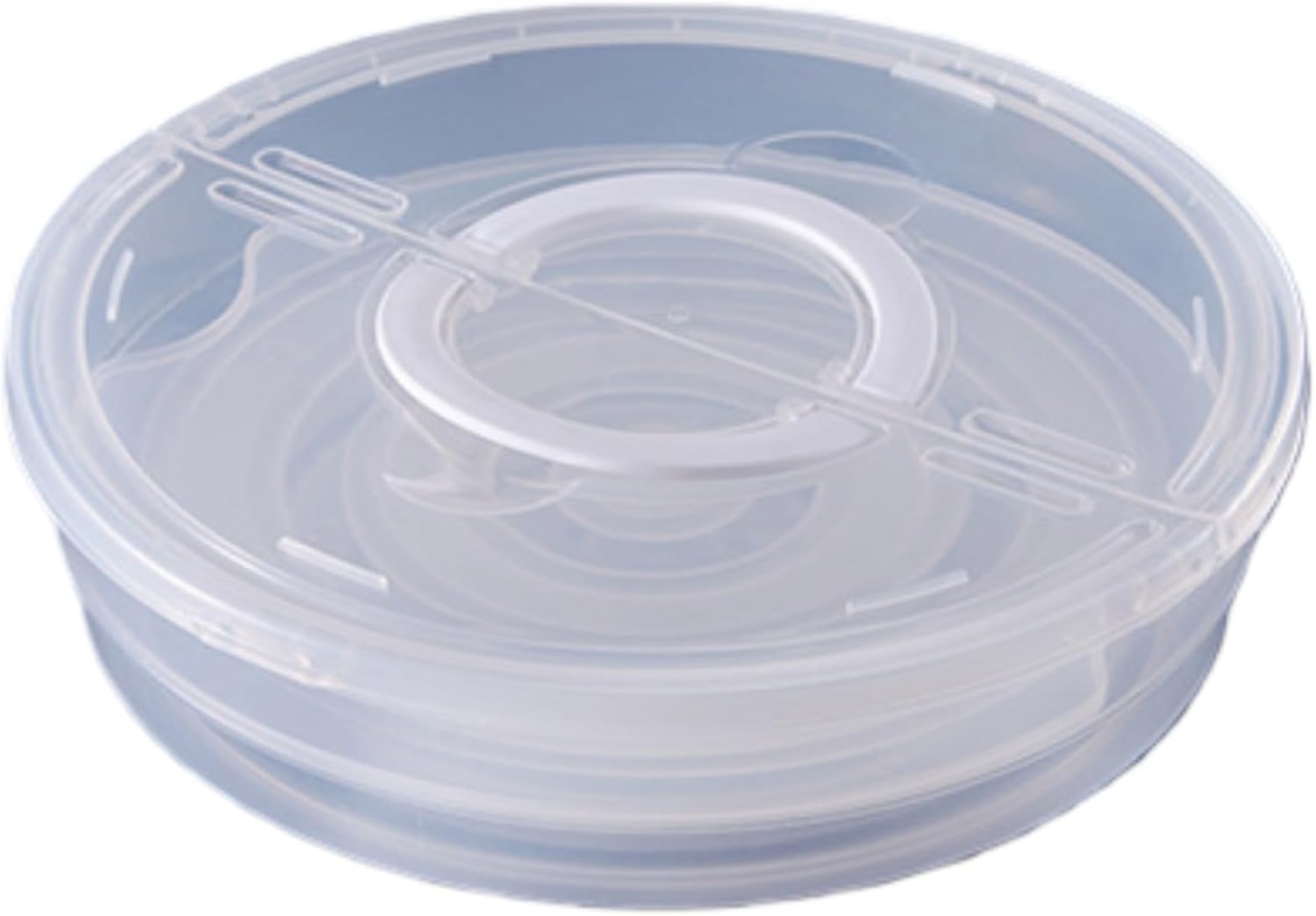 Amazon.com: GHSGHS Food storage container with lid and handle, reusable ...