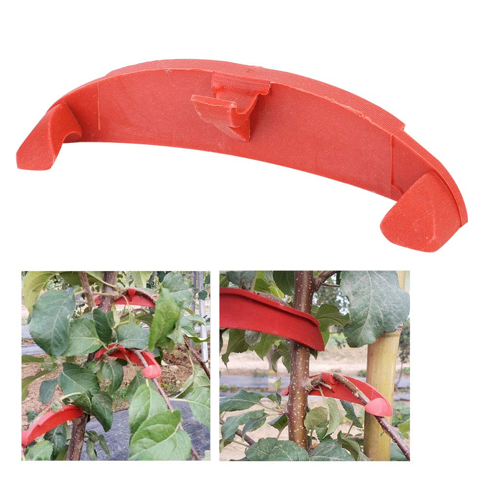 Buy Tree Bending Tool, Adjust ent Distribution Improve Efficiency Trunk ...