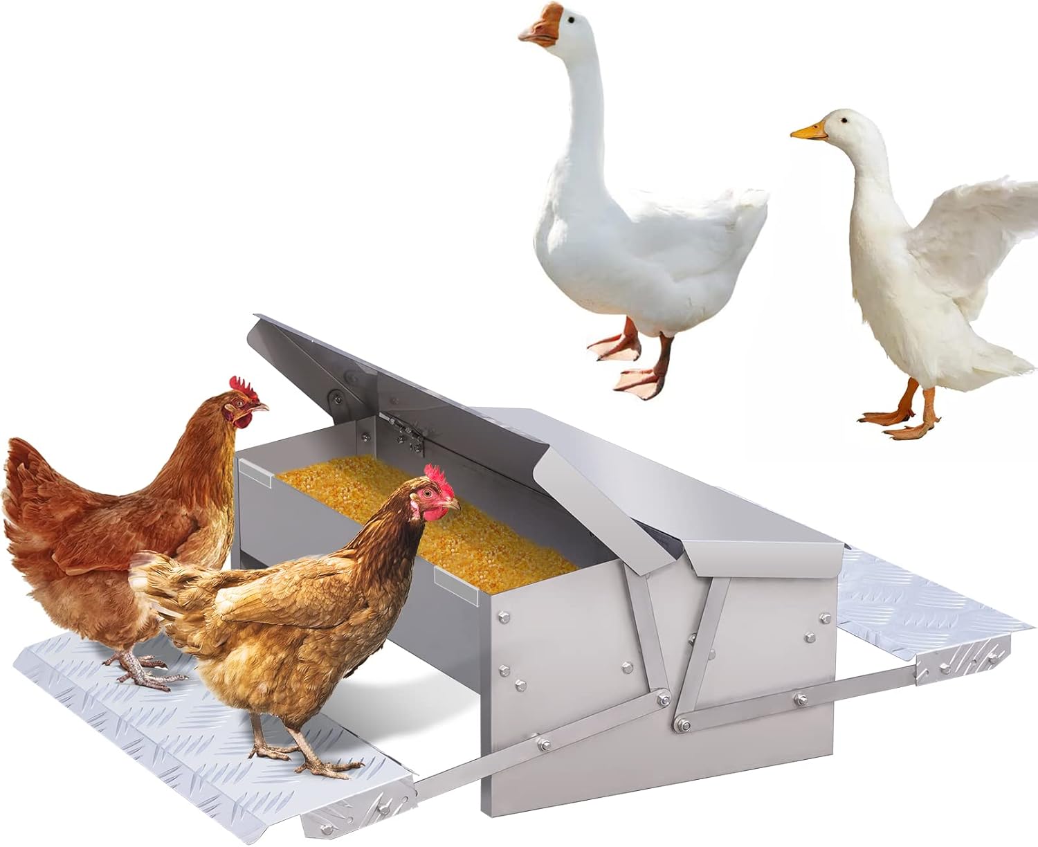 Amazon.com : PAULOZYN Automatic Chicken Feeder Treadle No Waste Rat ...
