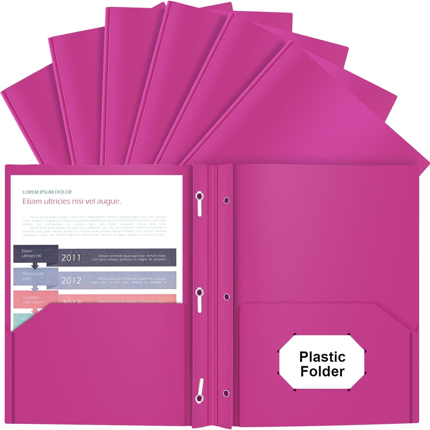 Amazon.com : 12-Pack Heavyweight Plastic Folder with Prongs, 2 Pocket ...