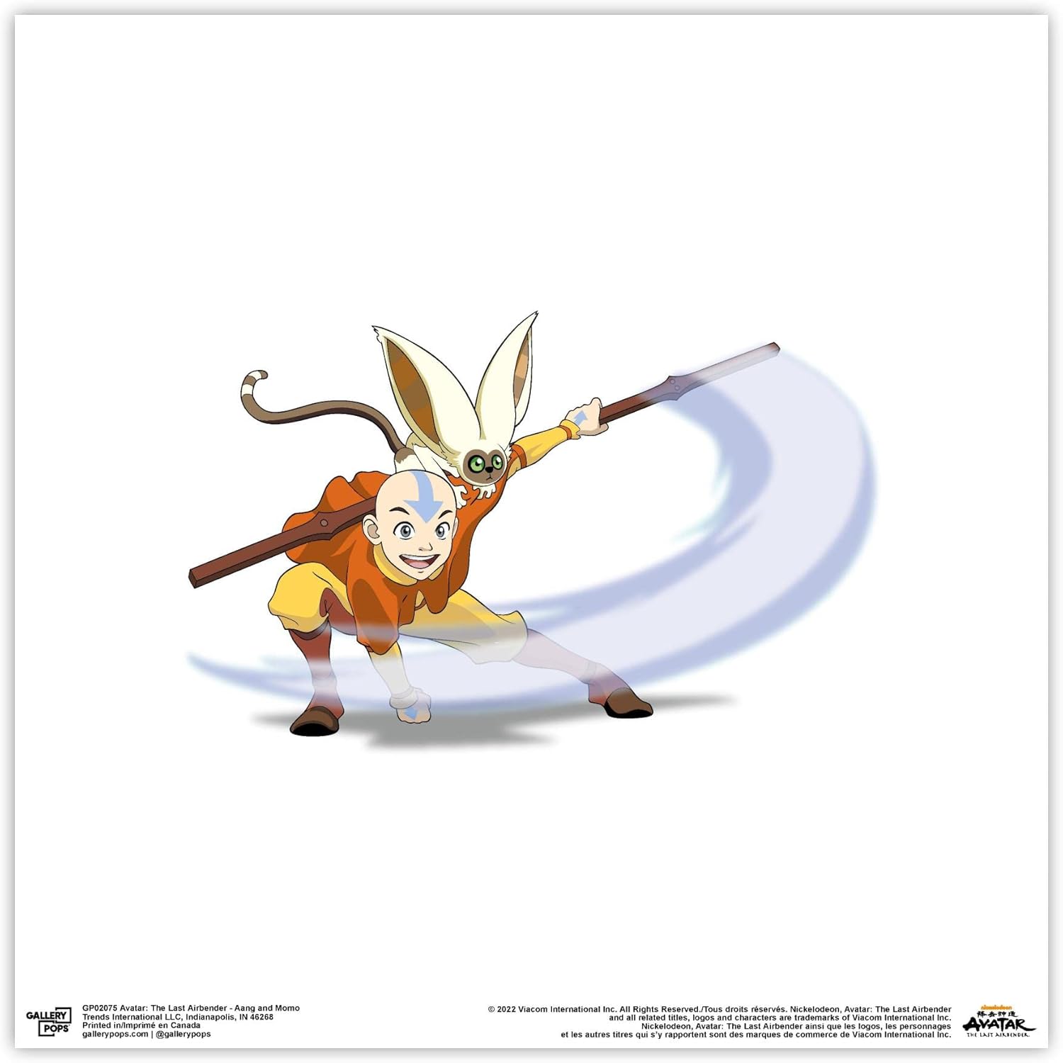 Amazon.com: Trends International Gallery Pops Nickelodeon Avatar: The ...