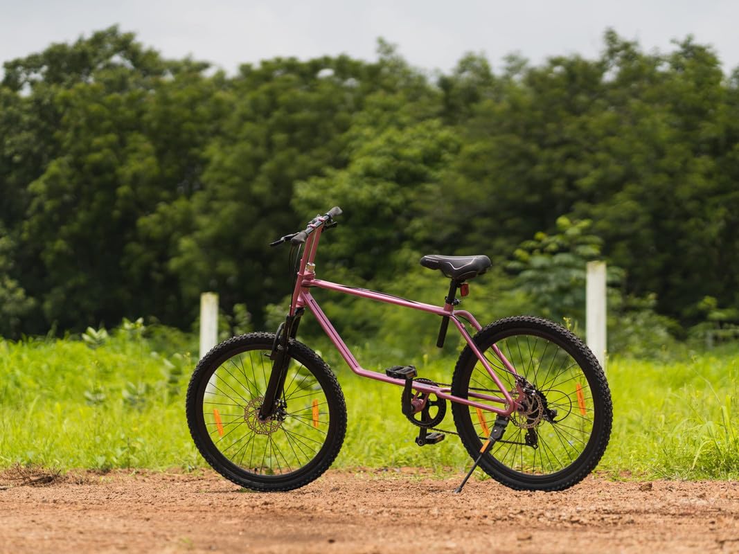 Buy Japeza Garage DB-M - 6 Speed Bicycle with Mechanical Suspension ...